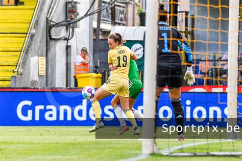 RED FLAMES FRIENDLY BELGIUM VS NORTHERN IRELAND Sportpix Be