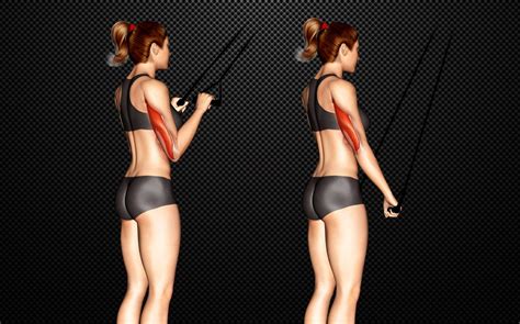 Band Pushdown Exercise Guide Muscles Worked How To Benefits And