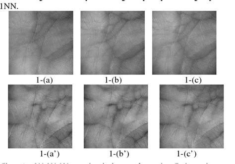 table 1 from pca based multispectral band compression and multispectral palmprint recognition