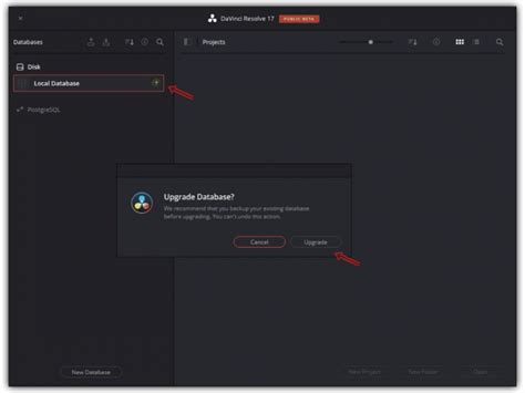 quickly update davinci resolve and things you should know
