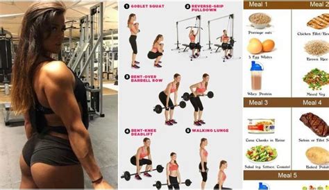 Gym Guider Learn How To Create Your Ideal Body By Zoe Juraj Krajcik