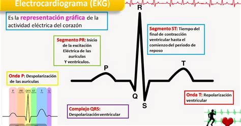 Blog De Fisiología Medica UAS Valenzuela Cuen Jesús Alejandro