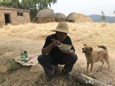 看黄土高原70岁老农收麦子吃的小米饭睡在麦茬上太辛苦了 搜狐大视野 搜狐新闻