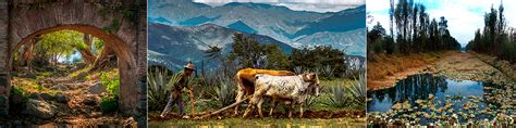 Patrimonio Biocultural Biodiversidad Mexicana