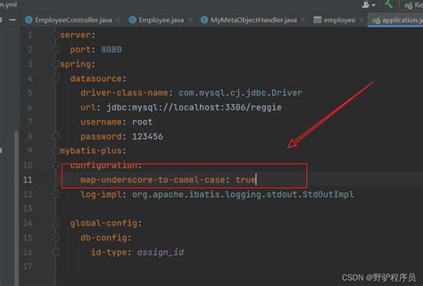 Java Java Csdn