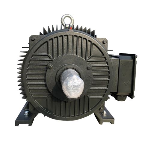 Ye Series Premium Efficiency Induction Electric Motor Three Phase