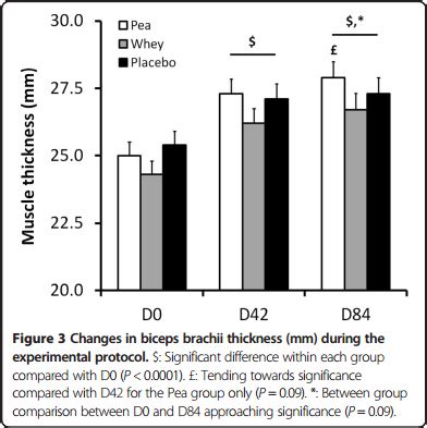 Pea Protein Vs Whey Renew Physical Therapy