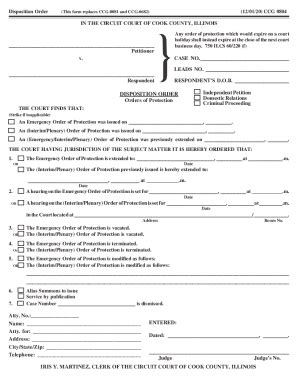 2020 2024 Form IL CCG 0804 Cook County Fill Online Printable