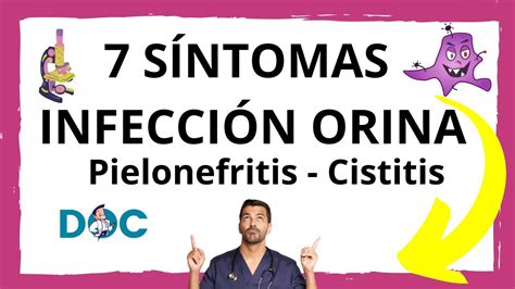 S Ntomas De Infecci N Orina O Cistitis S Ntomas De Pielonefritis