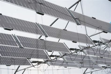 Un nuevo proyecto agrivoltaico probará seguidores fotovoltaicos para