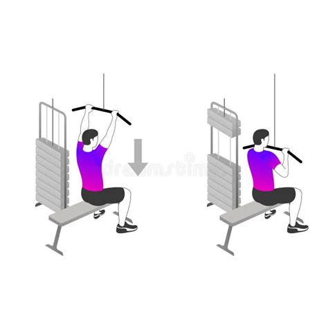 Fitness Oefeningen Voor Sterke Rug En Biceps Installaties Stock
