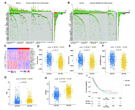 Mutation And Expression Landscapes Of Driver Genes Tumor