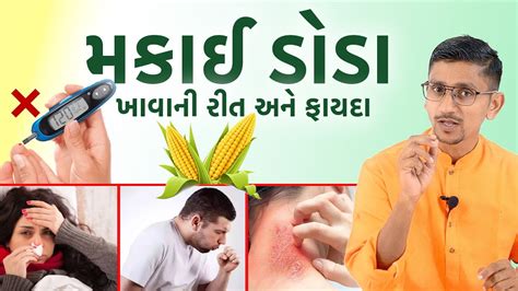 મકઈ ન ડડ બફન ખવય ક શકન મકઈ ડડ વટમન E અન ગલકજ
