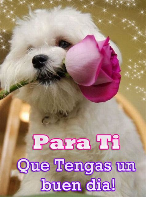 Imágenes de que tengas un buen dia Imágenes