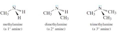 Organic Chemistry Amines Flashcards Quizlet