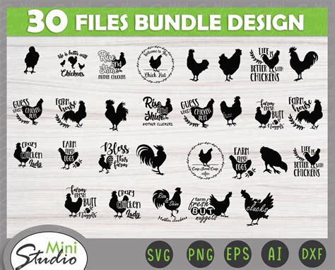 Chicken Svg Bundle Hand Drawn Hen Svg Rooster Svg Etsy