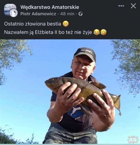 Tw J Stary