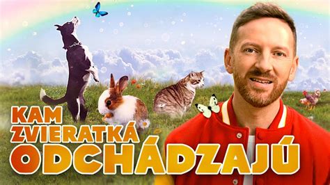 Miro Jaroš KAM ZVIERATKÁ ODCHÁDZAJÚ Oficiálny videoklip YouTube