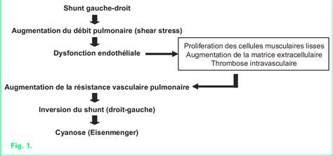 Figure 1 from Hypertension artérielle pulmonaire des cardiopathies