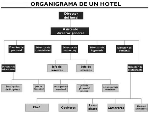 Organigrama De Un Hotel Qu Es Y Ejemplos