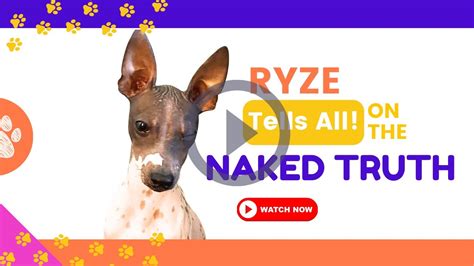 Welcome To The Naked Truth Youtube