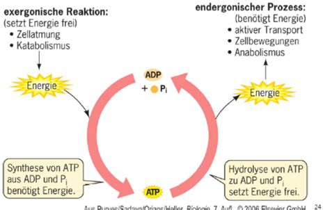 Energie Karteikarten Quizlet