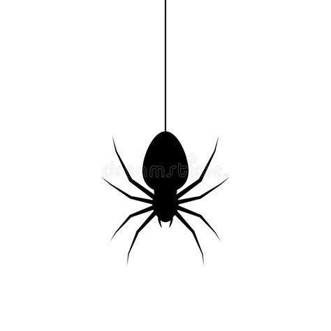 Spider Hanging On Cobweb Spider Hanging On Spider Web Stock