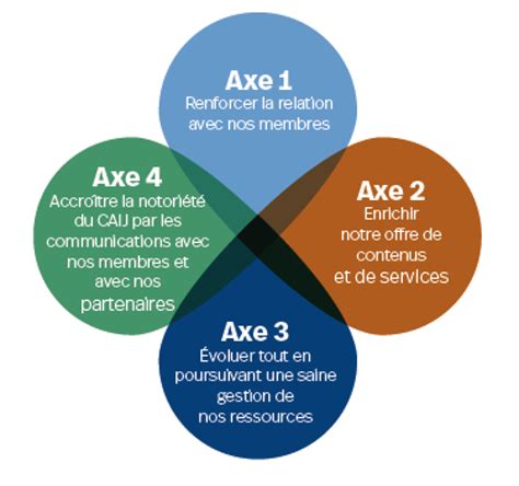 Notre stratégie pour les prochaines années le CAIJ 2016 2021 CAIJ