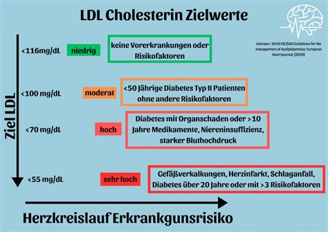 Schlaganfall Und LDL Cholesterin Therapie Verstehen