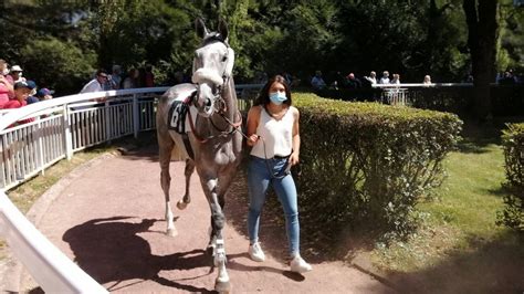 Chevaux Jouer Dans Le Quint Pmu Du Mardi Ao T