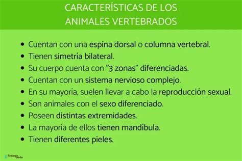 Animales vertebrados clasificación características y ejemplos