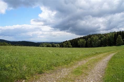 Wie Droga Polna Pole Darmowe Zdj Cie Na Pixabay