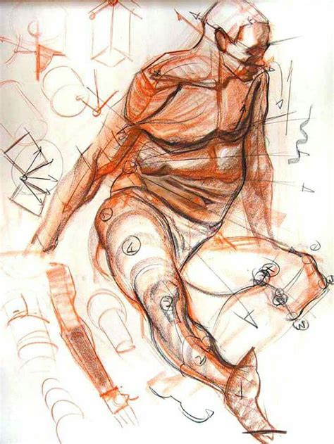 Anatomical Figure Drawing