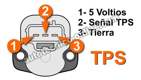 Cómo Probar El Sensor TPS Con Multímetro 2000 2007 4 7L Dodge