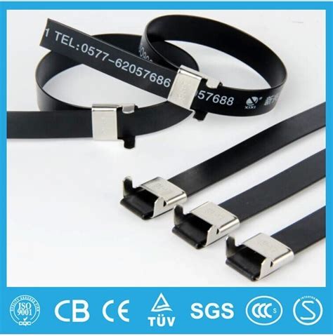 304 Epoxy Coated Stainless Steel Cable Tie Wing Lock Type China