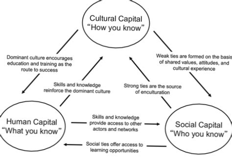 Verschil Tussen Sociaal En Cultureel Kapitaal Differbetween