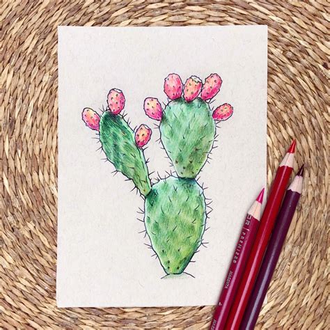 Cactus Prickly Pear Original X Drawing Etsy