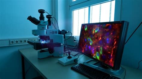 Newsletter Designing A Fluorescence Microscopy Experiment Fluorofinder
