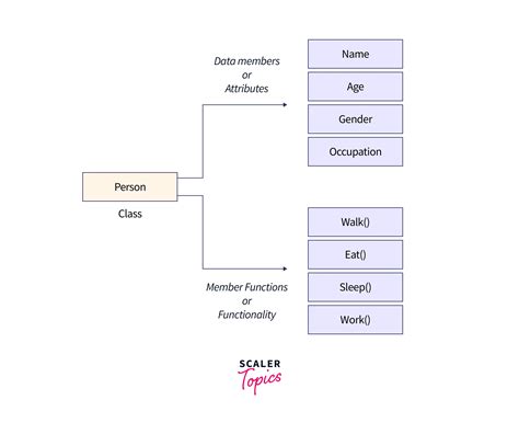 procedural programming and object oriented programming in c scaler topics