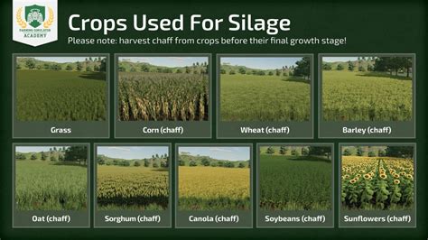 Farming Simulator 22 How To Produce Silage FS22 Mod