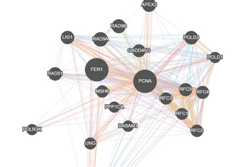 20 javascript libraries to draw your own diagrams 2024 edition