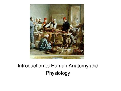 Ppt Introduction To Human Anatomy And Physiology Powerpoint