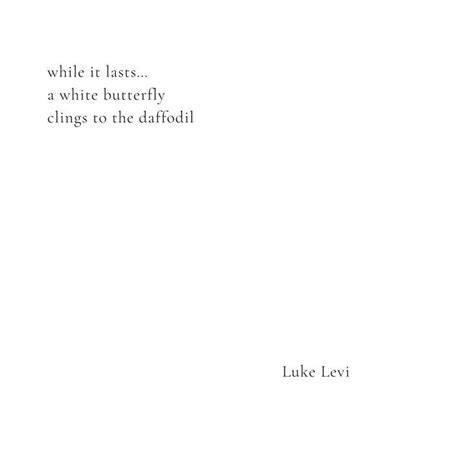 A White Wall With The Words While It Lasts A White Butterfly Clings