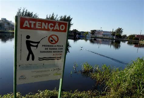 Mistério em Imbé dezenas de peixes aparecem mortos em lago próximo à