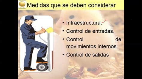 Clase Bioseguridad en Granjas Avícolas Fonseca La Guajira YouTube