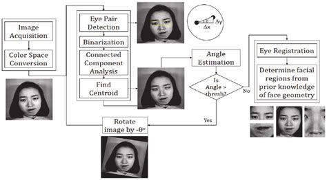 preprocessing flow for face and facial component extraction download scientific diagram
