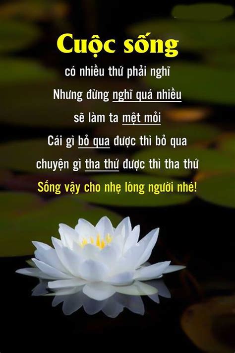 Tổng hợp 89 về hình nền châm ngôn cuộc sống coedo vn
