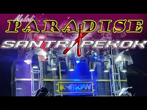 Viral Dj Santri Pekok X Paradise Bass Nguk Derrr Andalan Bigw Youtube