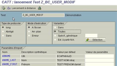 Utilisation De L Outil Sap Catt Sap Technique Programmation Abap
