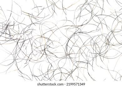 Pubic Hair Fall Isolated On White Stock Photo 2199571349 Shutterstock